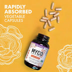lion's mane mushroom cognitive enhancer