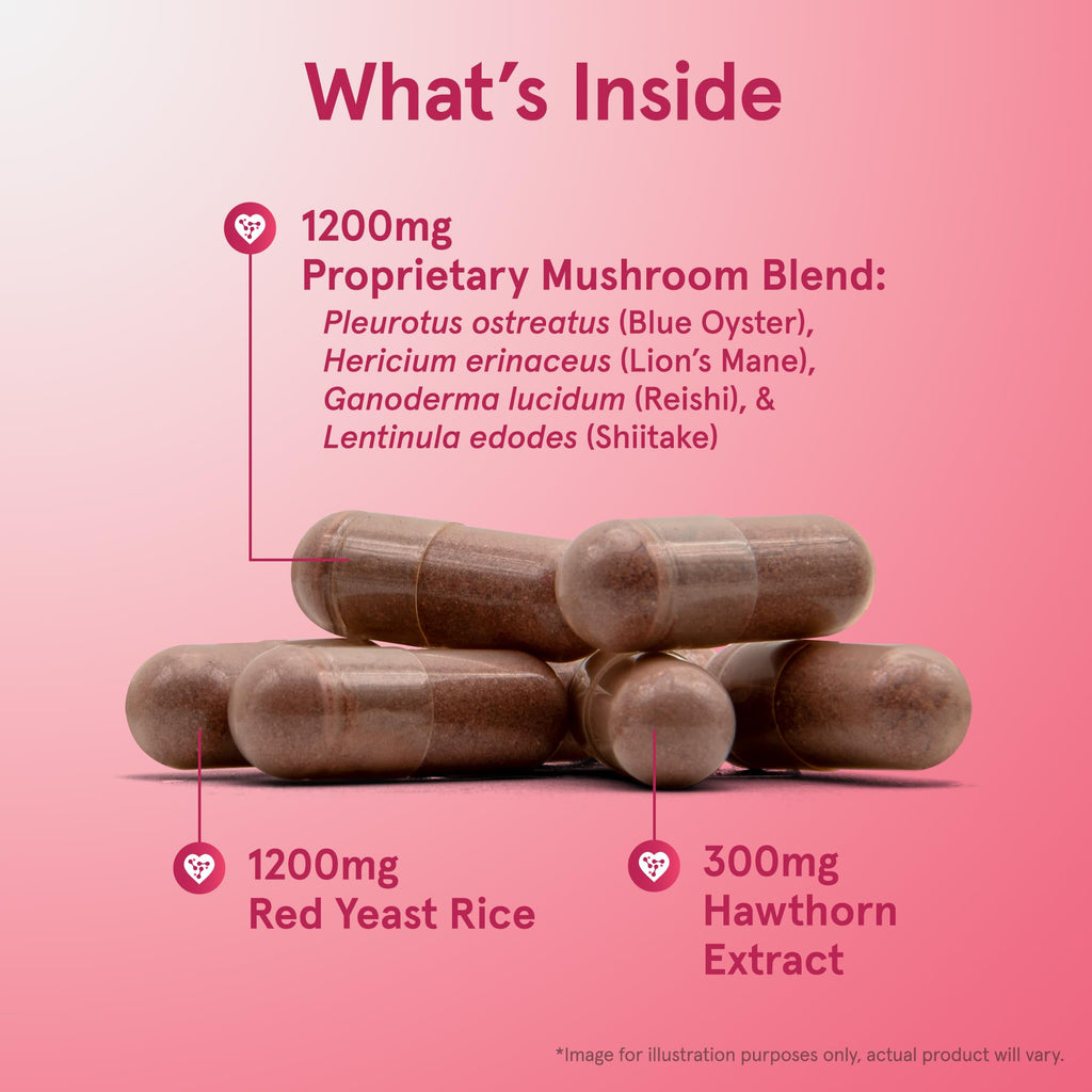 Lion's Mane mushroom cognitive support