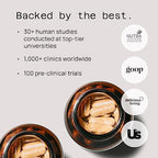 Lion's mane mushroom cognitive support