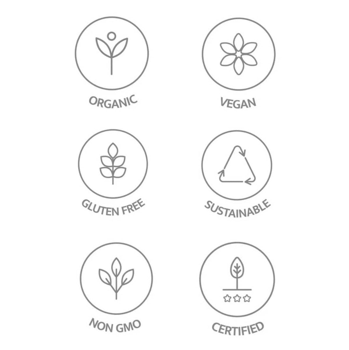 lion's mane mushroom cognitive support
