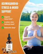 lion's mane mushroom cognitive support