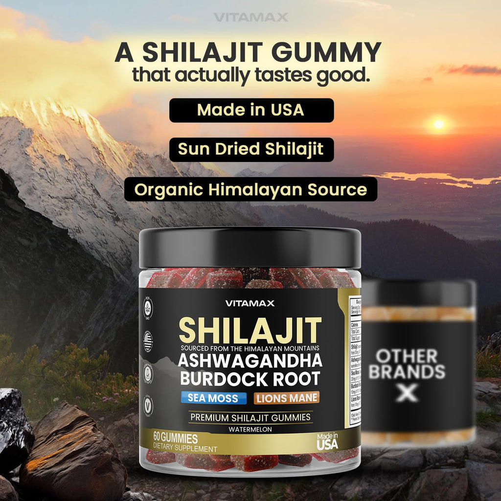 lion's mane mushroom cognitive support