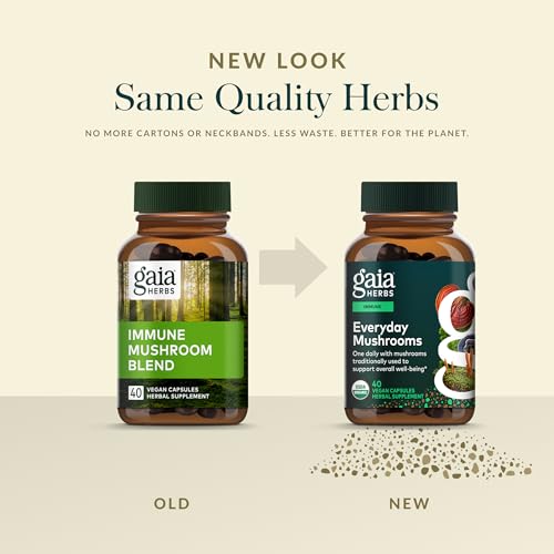 lion's mane mushroom cognitive support
