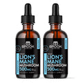 Lion's Mane mushroom cognitive support