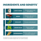 lion's mane mushroom cognitive support