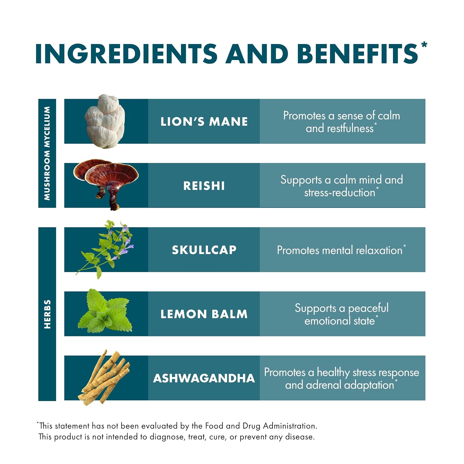 lion's mane mushroom cognitive support