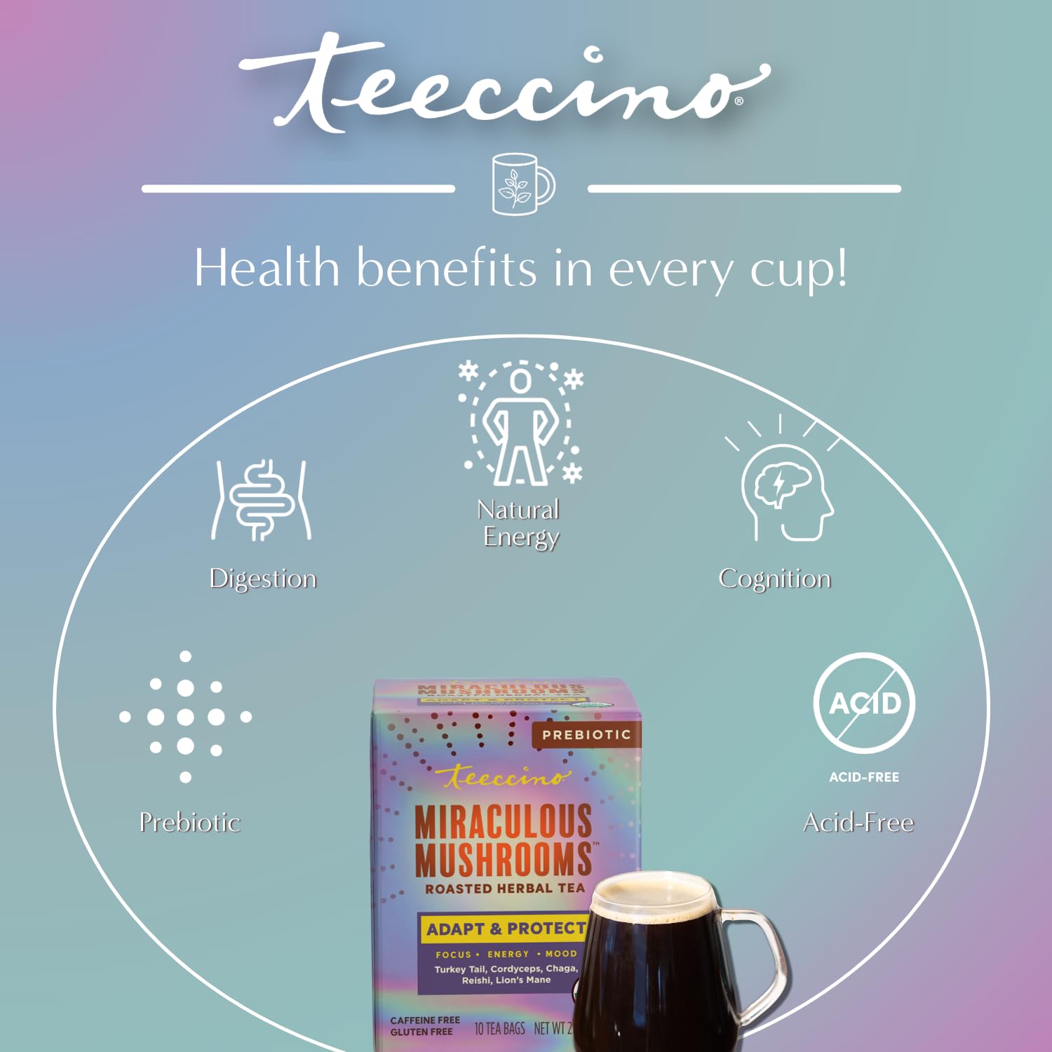 lion's mane mushroom cognitive support