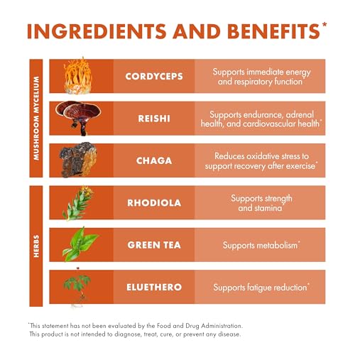 lion's mane mushroom cognitive support