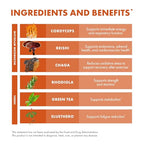 lion's mane mushroom cognitive support
