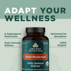 lion's mane mushroom cognitive support