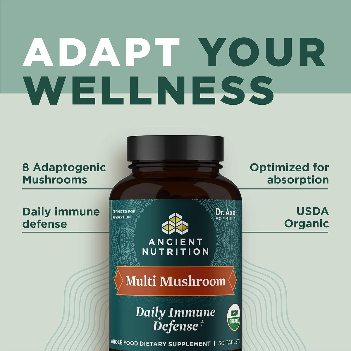 lion's mane mushroom cognitive support