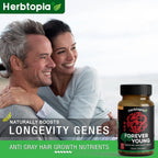 Lion's mane mushroom cognitive support