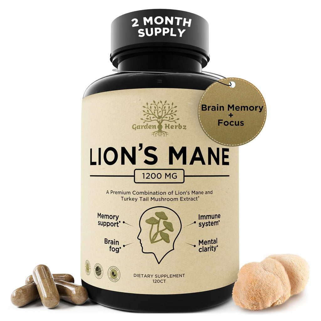 lion's mane mushroom cognitive support