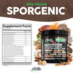 lion's mane mushroom cognitive support
