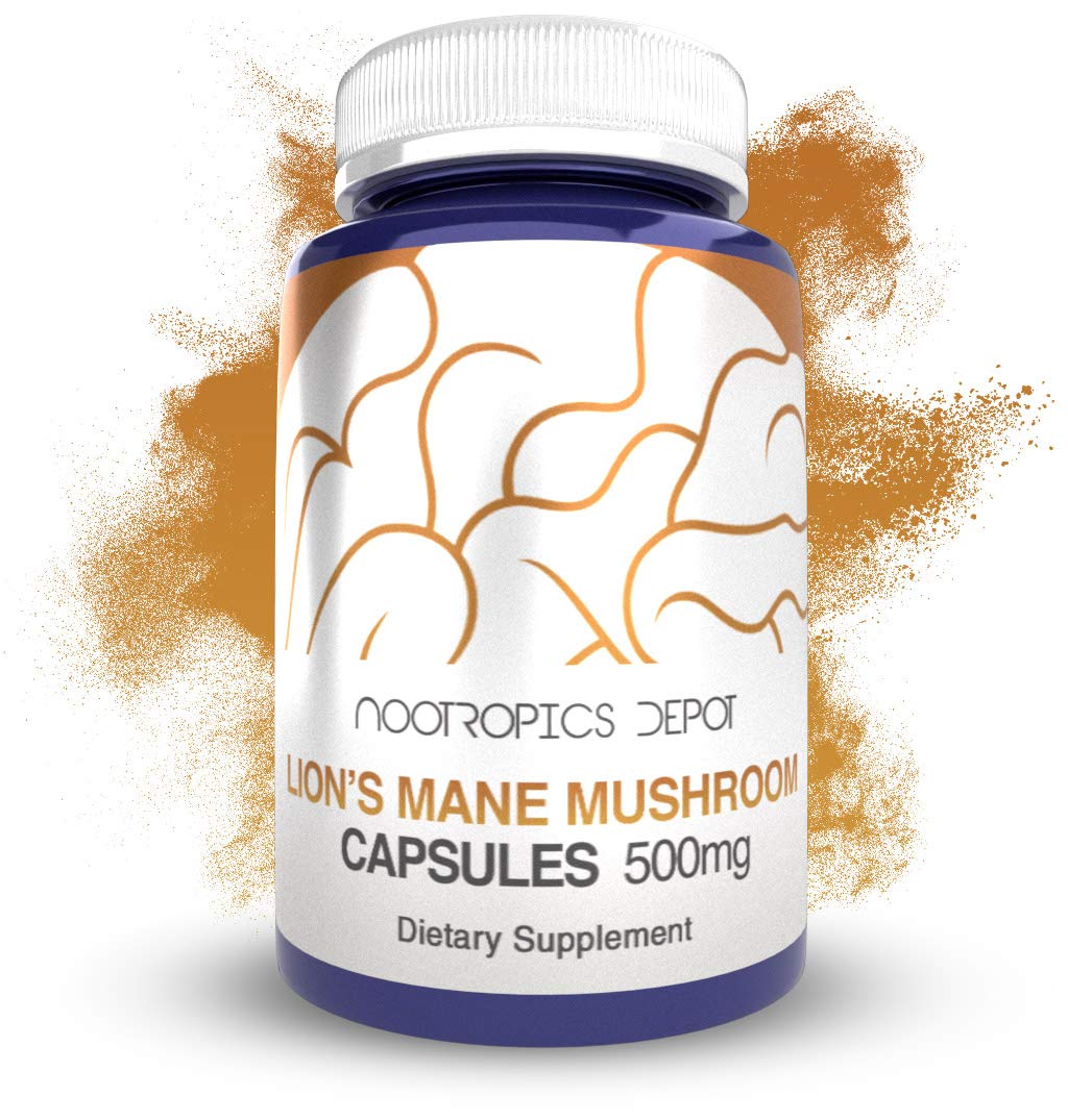 lion's mane mushroom cognitive support