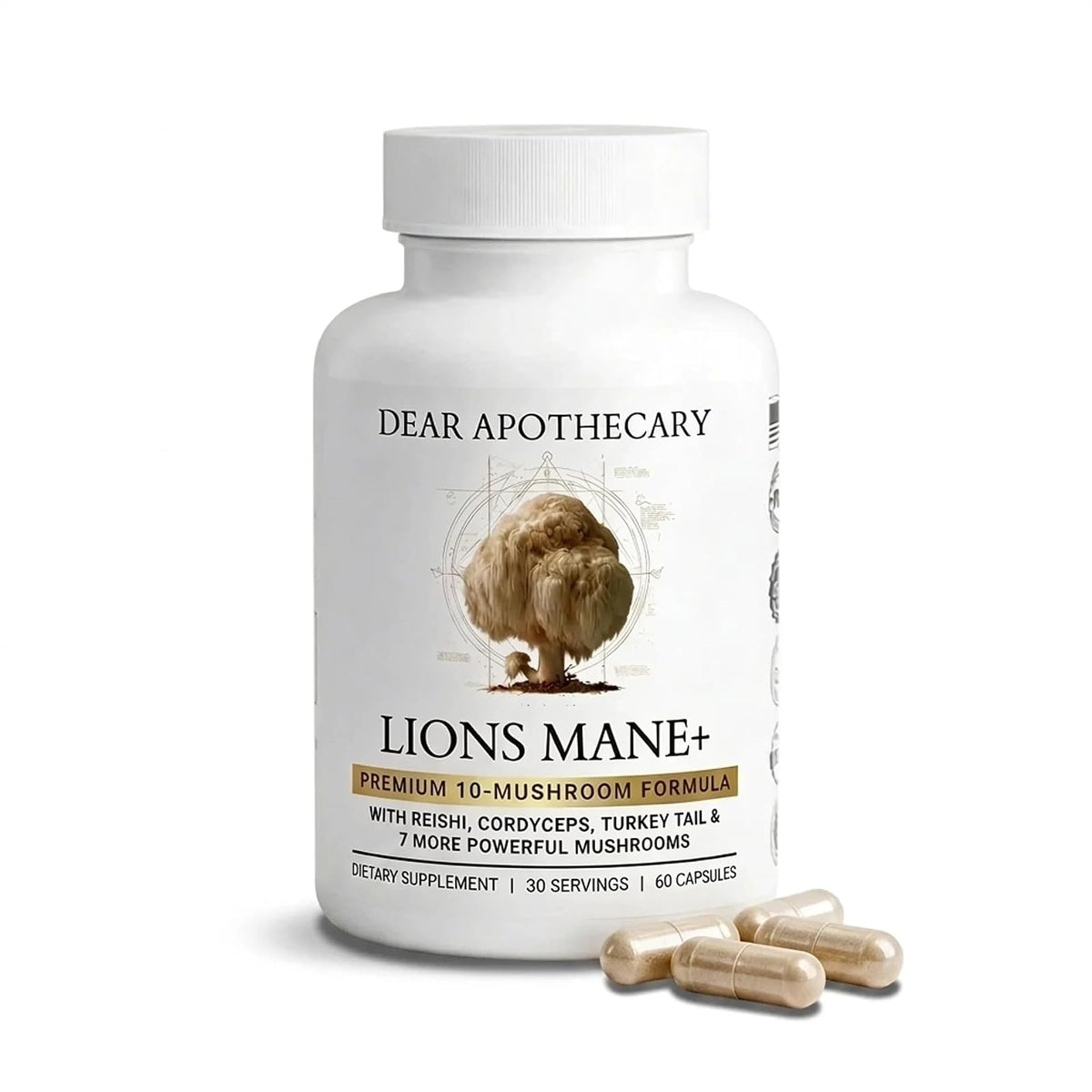 Lion's Mane mushroom complex benefits