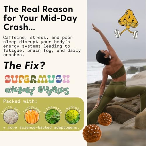 Lion's Mane mushroom daily supplement