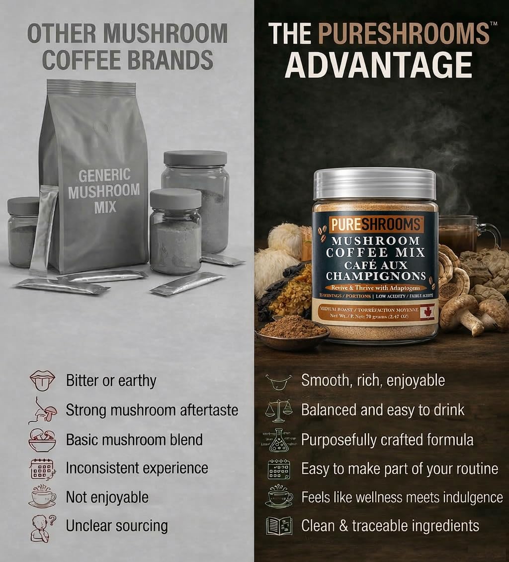 lion's mane mushroom energy boost
