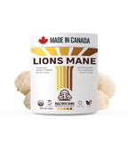 lion's mane mushroom extract benefits