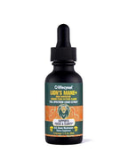 lion's mane mushroom extract benefits