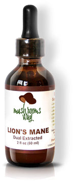 lion's mane mushroom extract benefits