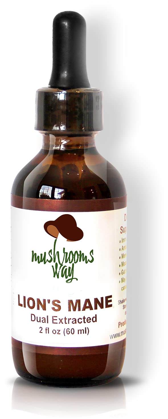 lion's mane mushroom extract benefits