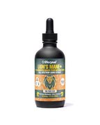 lion's mane mushroom extract benefits