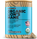 lion's mane mushroom extract benefits