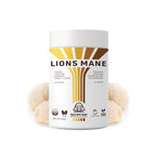 lion's mane mushroom extract benefits