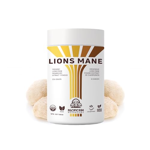lion's mane mushroom extract benefits