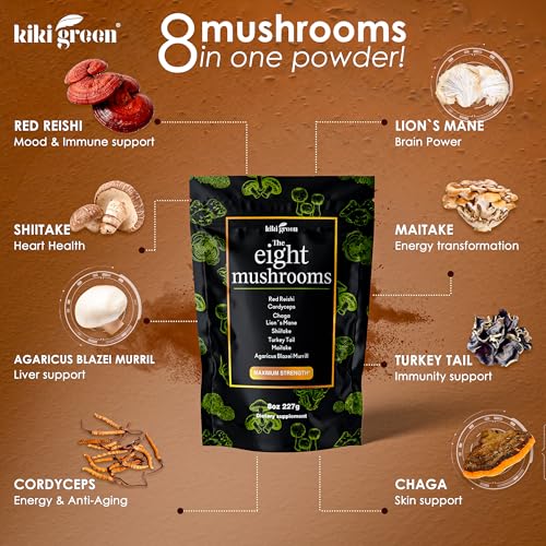 Lion's Mane mushroom extract benefits