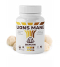 lion's mane mushroom extract capsules