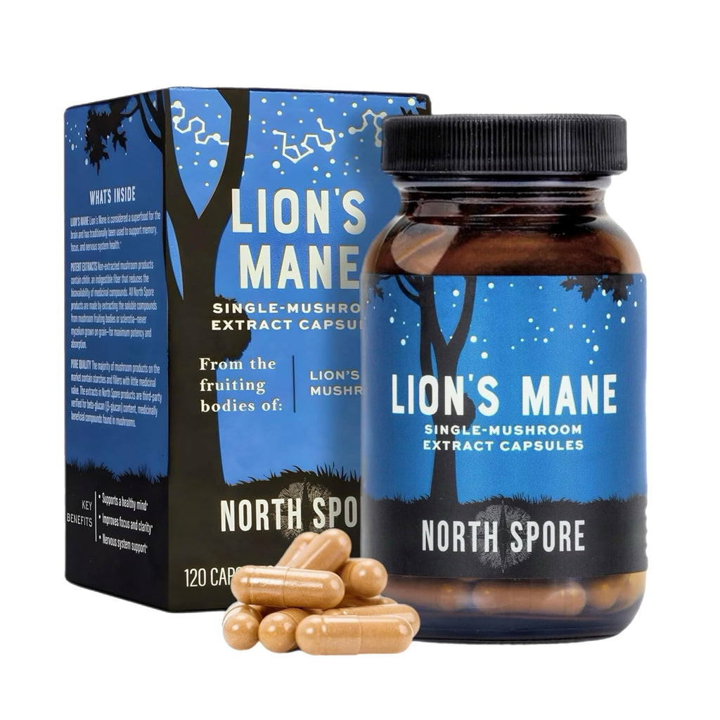 Lion's Mane mushroom extract capsules