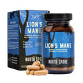 Lion's Mane mushroom extract capsules