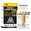 lion's mane mushroom extract capsules