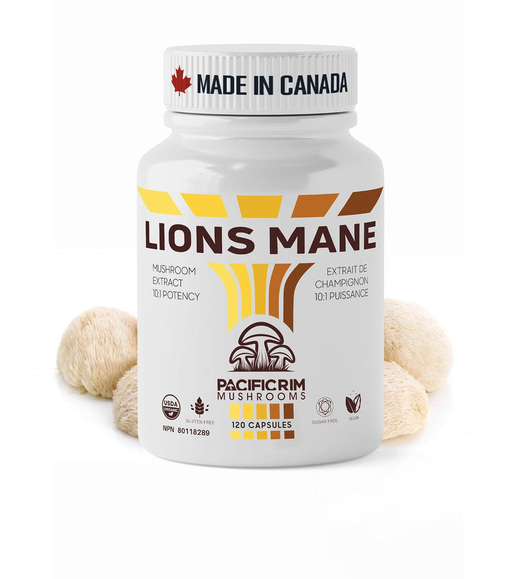 lion's mane mushroom extract capsules