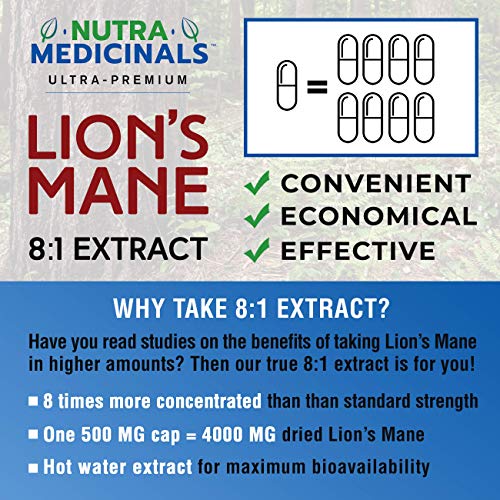Lion's Mane mushroom extract for memory enhancement