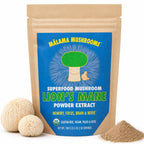 lion's mane mushroom extract powder