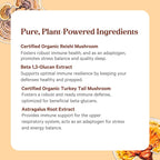 lion's mane mushroom for cognitive function