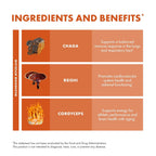 Lion's mane mushroom for cognitive function