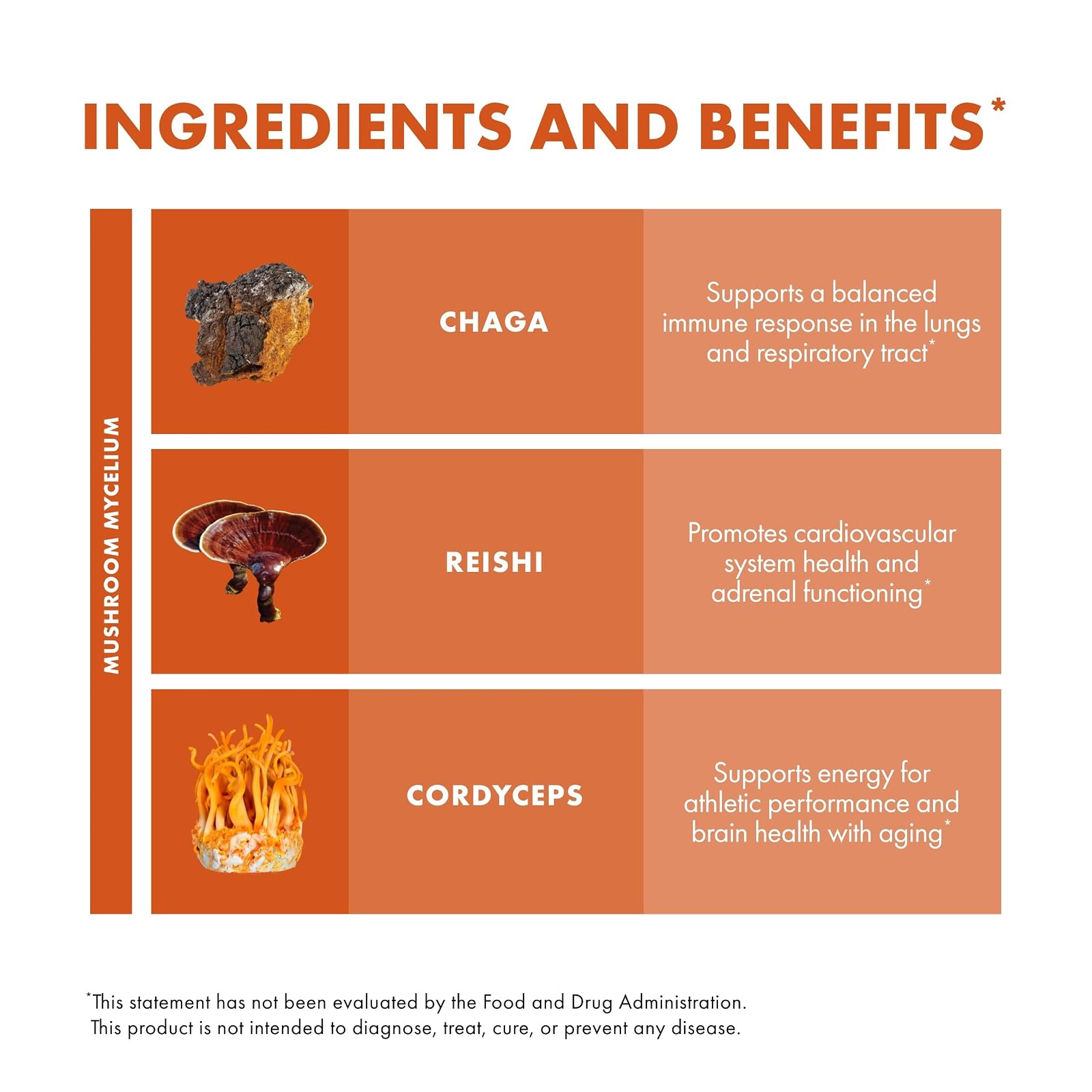 Lion's mane mushroom for cognitive function