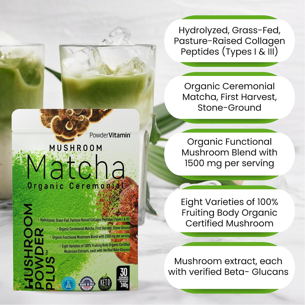 lion's mane mushroom for cognitive health