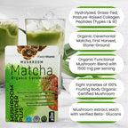 lion's mane mushroom for cognitive health