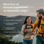 lion's mane mushroom for cognitive health