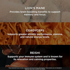 lion's mane mushroom for cognitive support