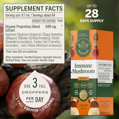 Lion's Mane mushroom for cognitive support