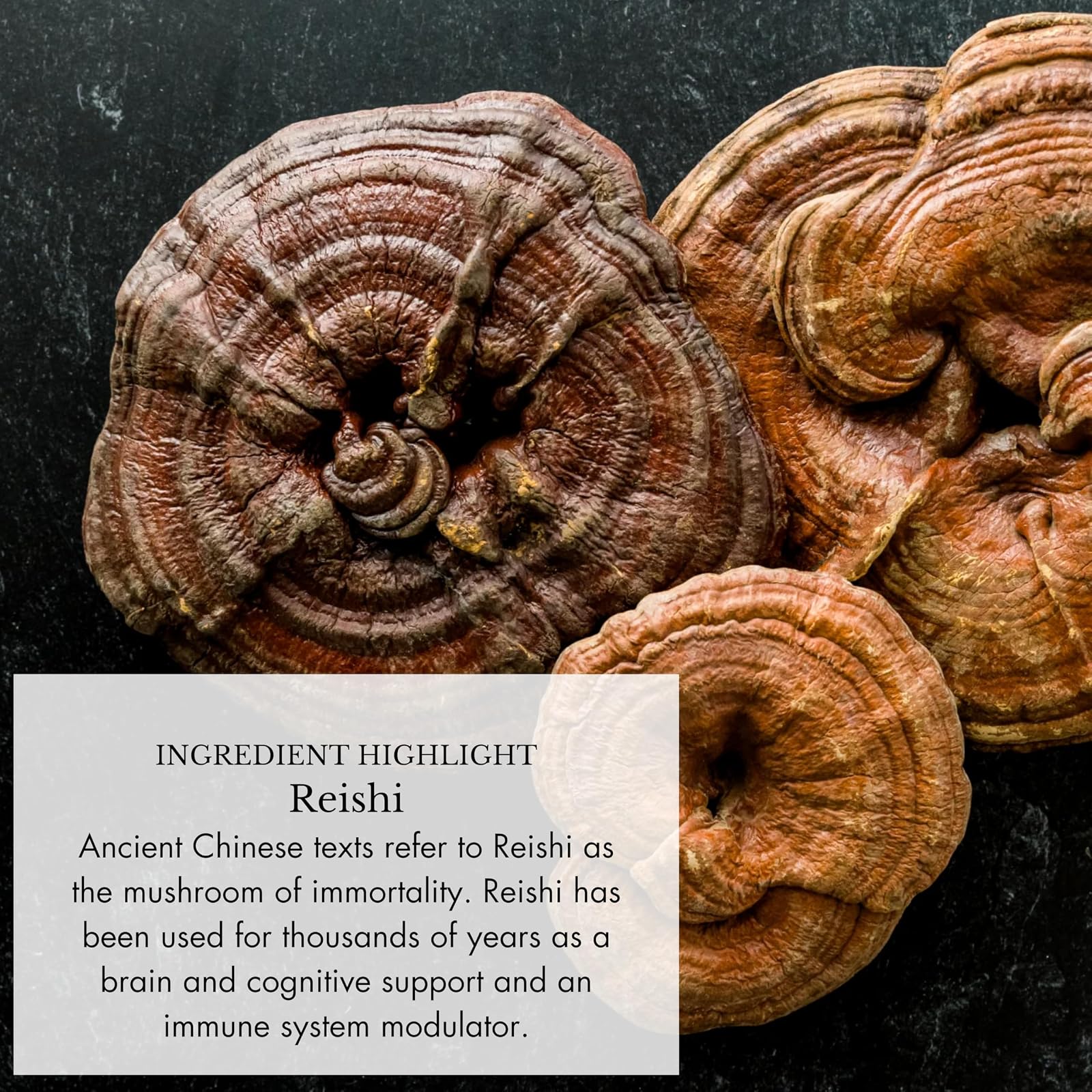 lion's mane mushroom for cognitive support