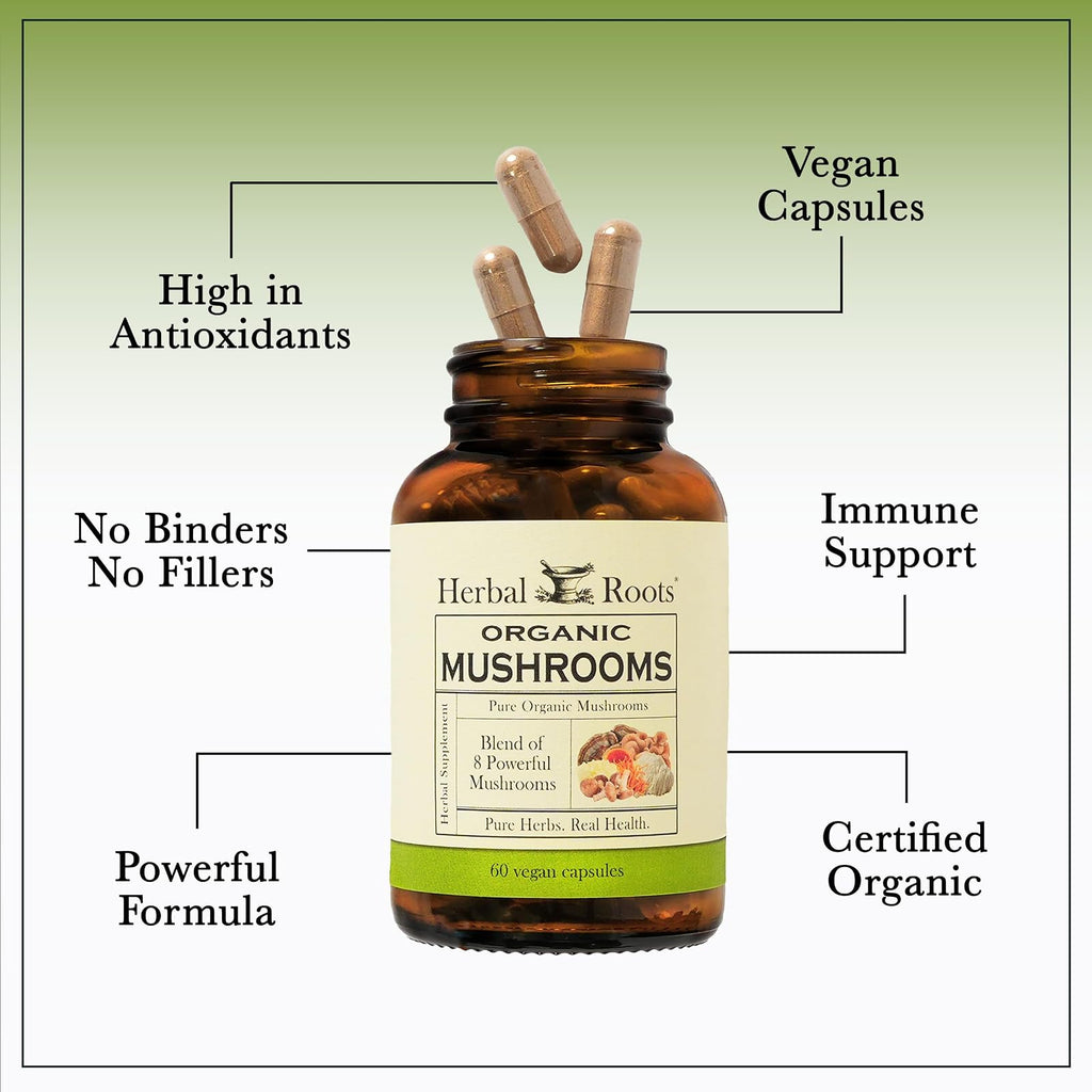 lion's mane mushroom for cognitive support
