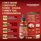 lion's mane mushroom for cognitive support