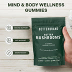 Lion's mane mushroom for cognitive support